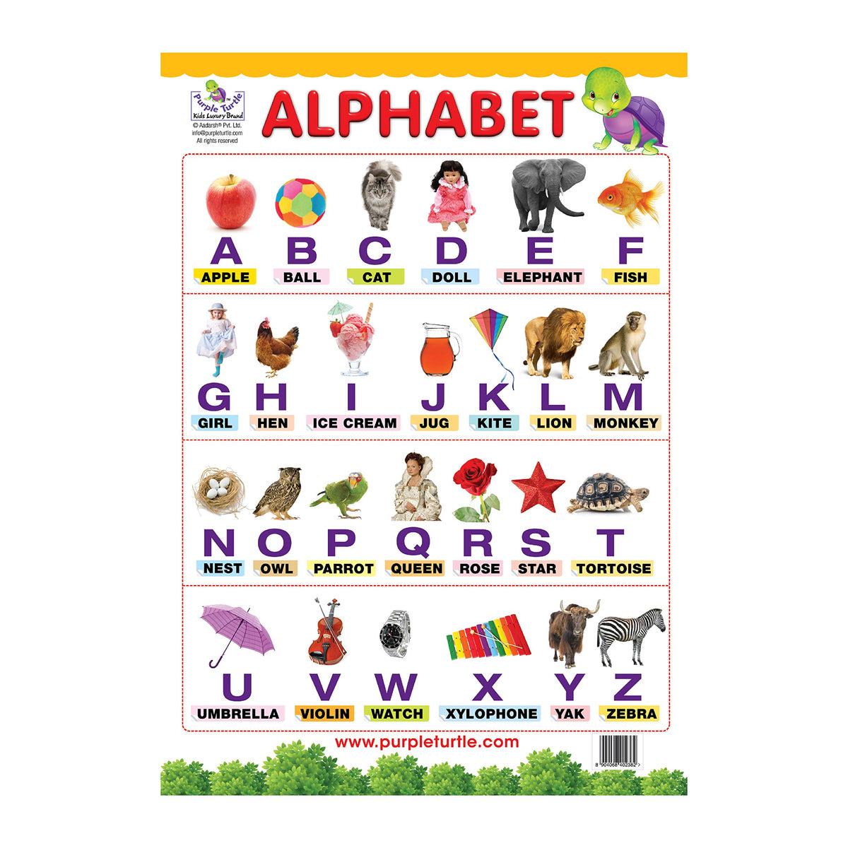 Alphabet and Hindi Educational Wall Charts for Kids – PurpleTurtle Store