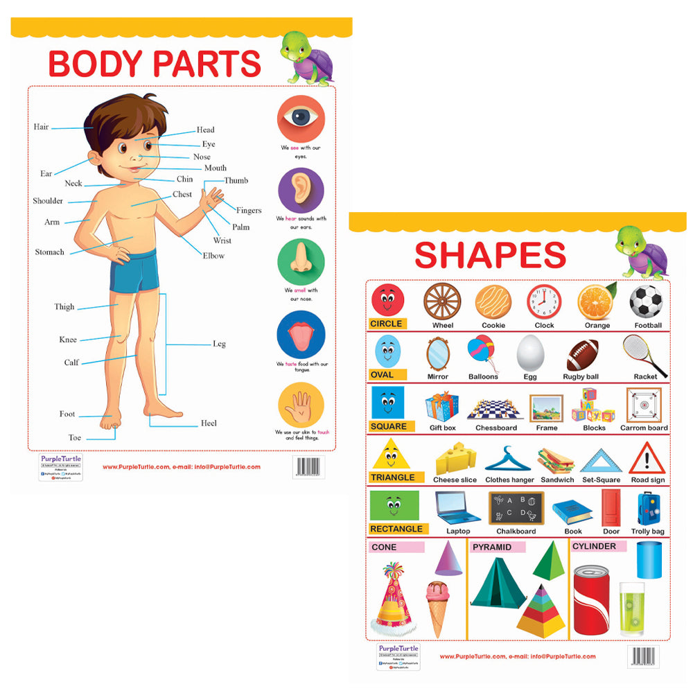 Body Parts and Shapes Educational Wall Charts for KIds – PurpleTurtle Store